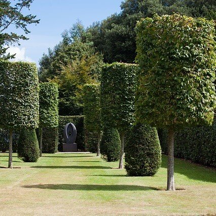 Tree Service Duluth MN